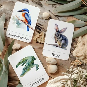 Australian Animal Alphabet Flash Cards ABC Cards Australia Flashcards ...