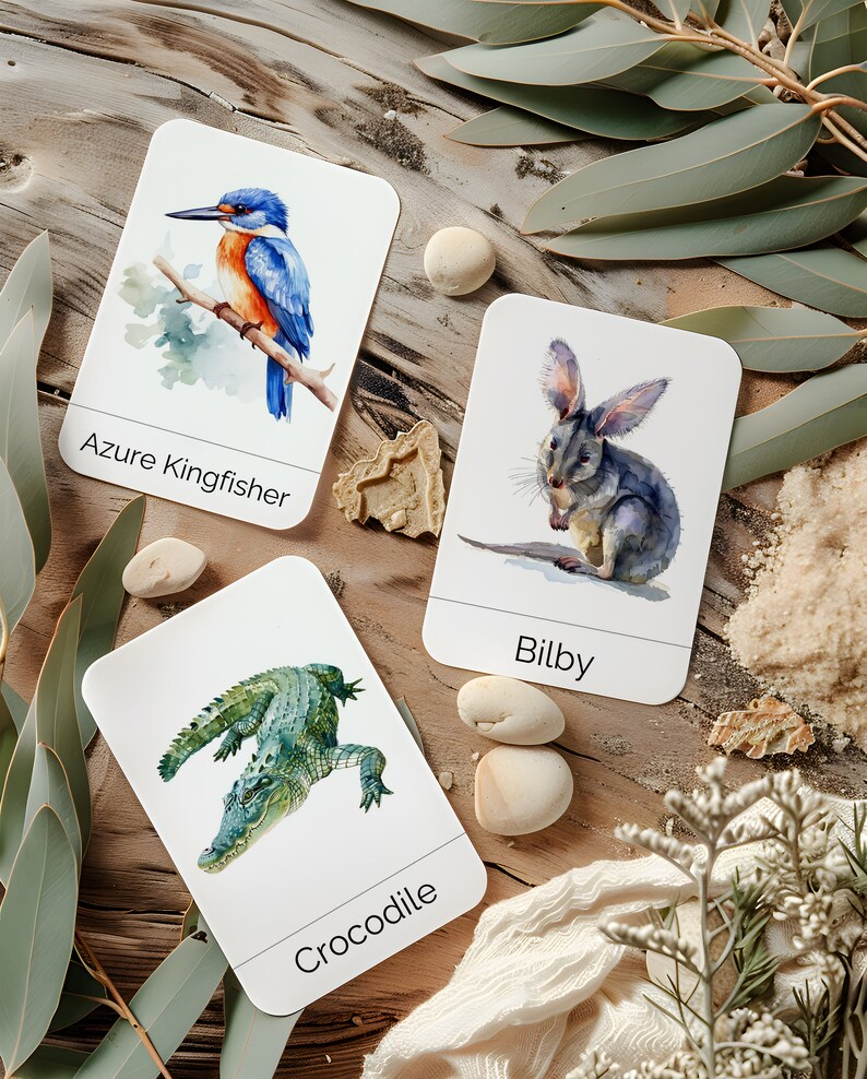 Australian Animal Alphabet Flash Cards ABC Cards Australia Flashcards ...