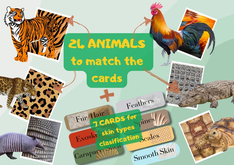 Match the Pattern - Sensory Learning Game for Kids - Etsy