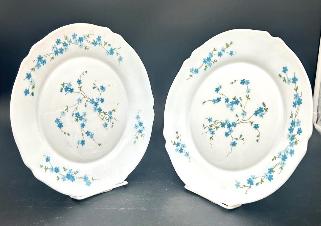 Arcopal Veronica Dinner Plates White Opaline Glass Dinner Plates ...