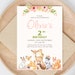 Kids Birthday Invite Template L Animal Birthday Invitation Editable L ...