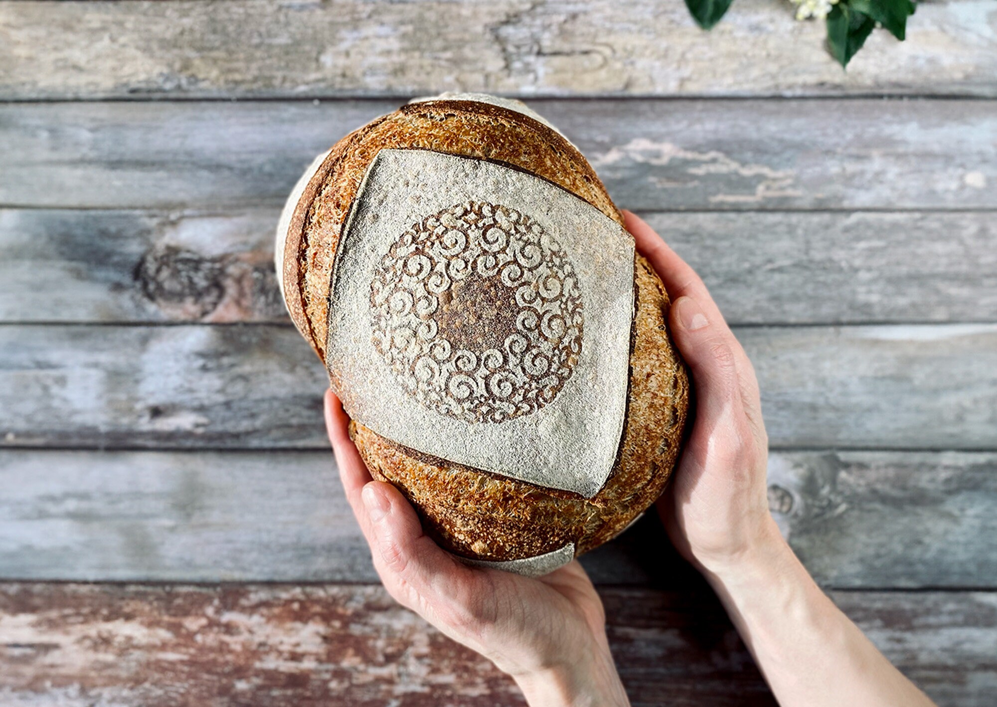 Sourdough Fever Stencils set of 5 - Etsy