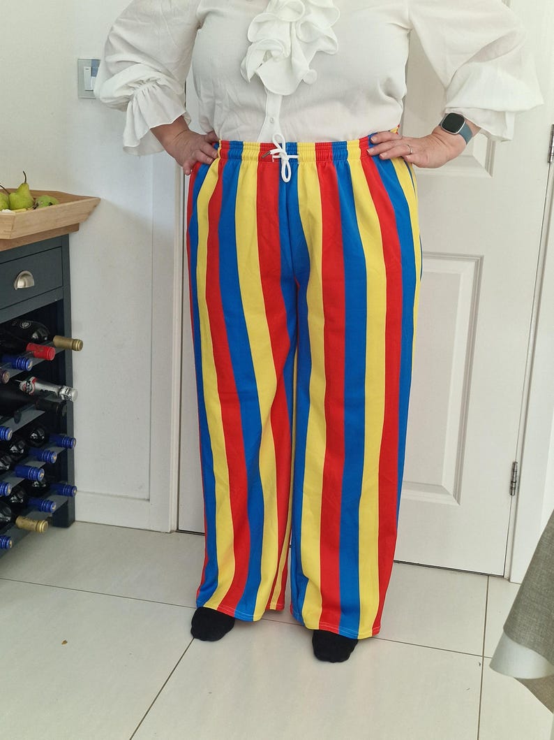 Retro Stripe Clown Pants: Clowncore Circus Costume - Etsy