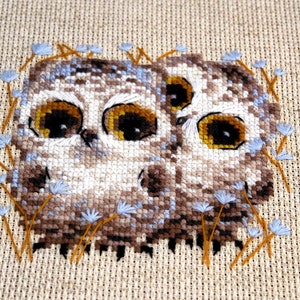 RIOLIS Counted Cross Stitch Kit 1755 Little Owls. Embroidery Kit With a ...