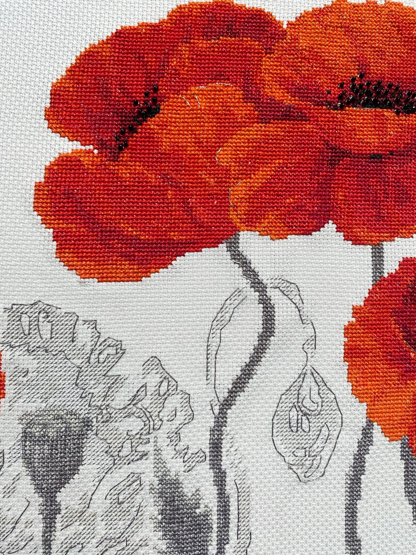 RIOLIS PREMIUM Counted Cross Stitch Kit 100/037 Scarlet Poppies ...