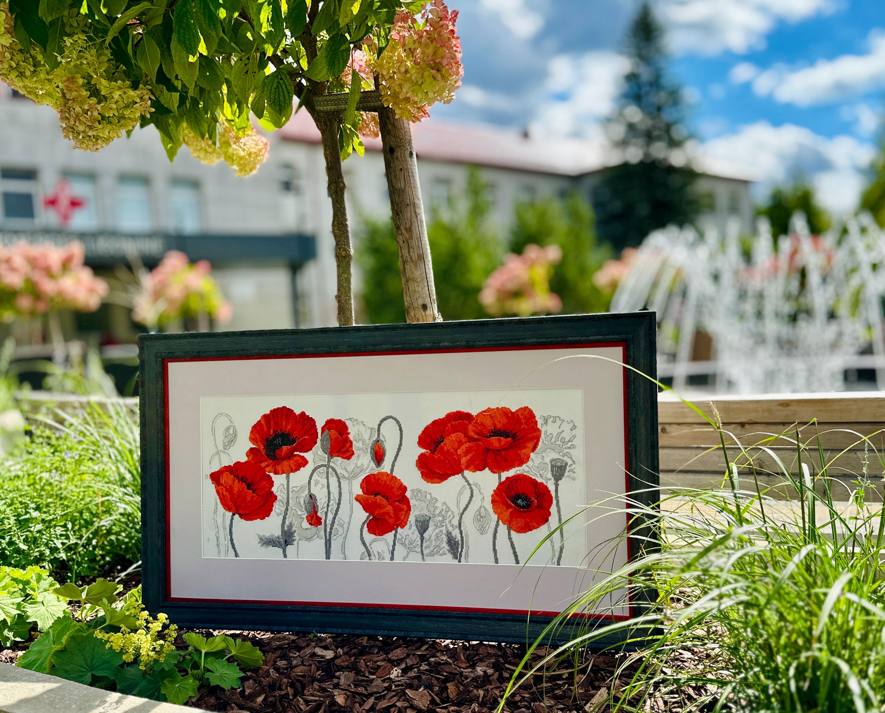 RIOLIS PREMIUM Counted Cross Stitch Kit 100/037 Scarlet Poppies ...