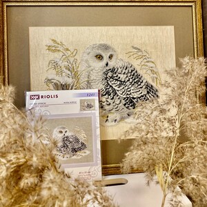 RIOLIS Cross Stitch Kit 1241 White Owl, Embroidery Kit With an Adorable ...