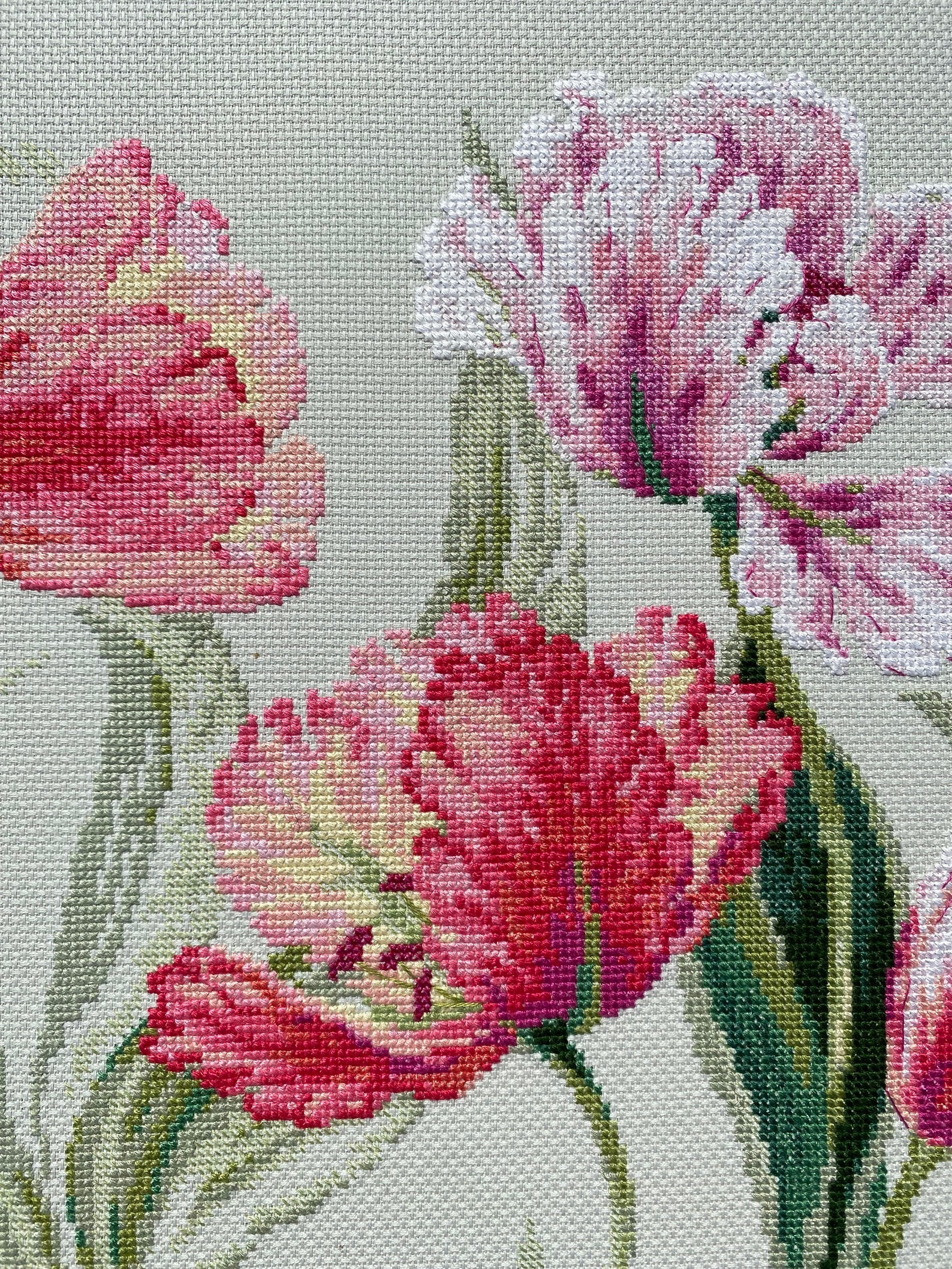 RIOLIS PREMIUM Counted Cross Stitch Kit 100/052 Spring Tulips ...