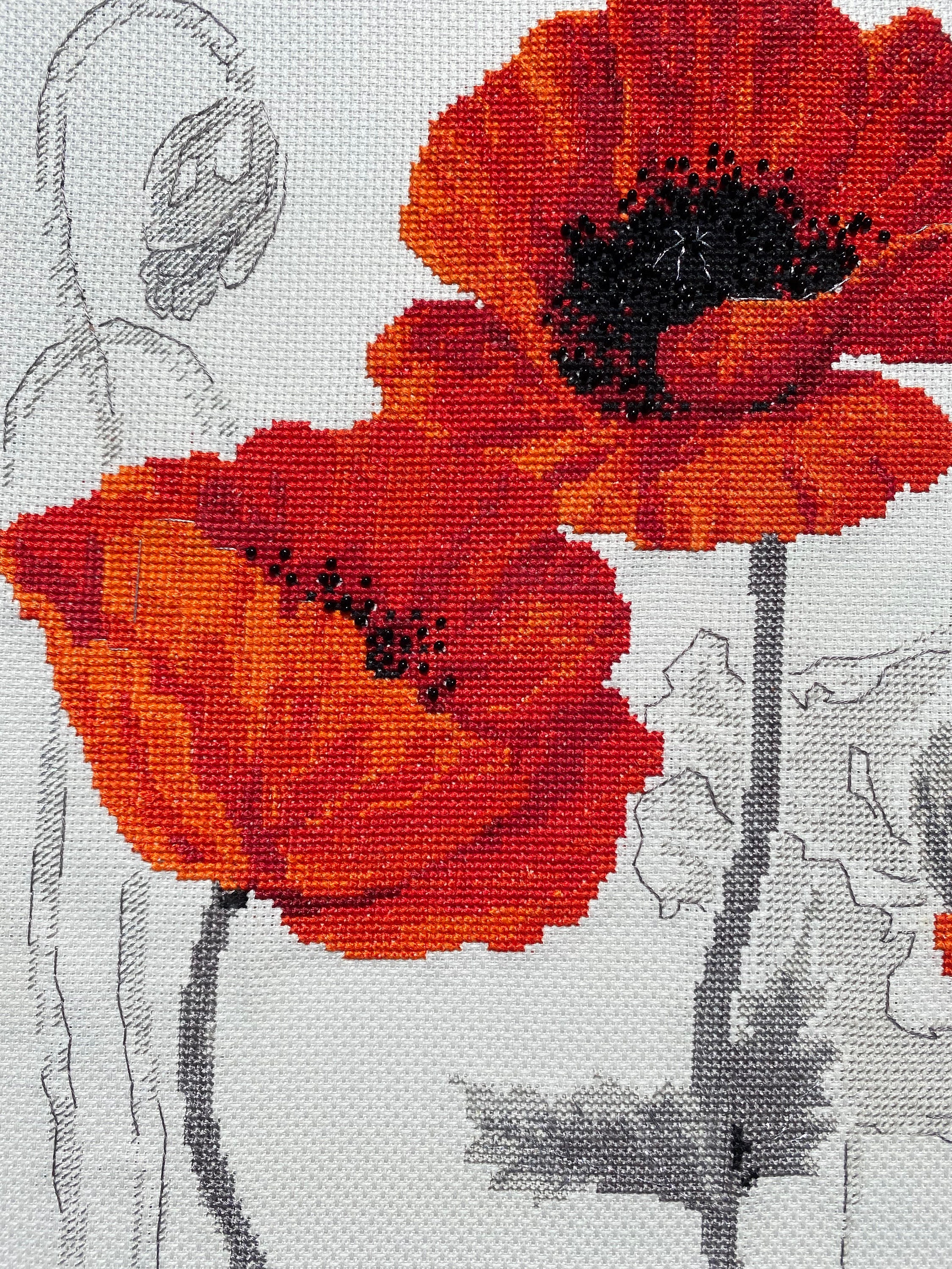 RIOLIS PREMIUM Counted Cross Stitch Kit 100/037 Scarlet Poppies ...