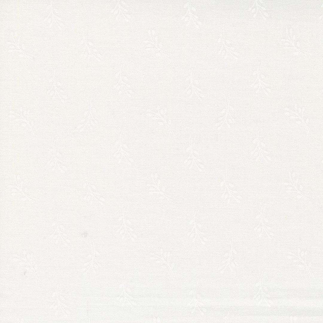 Coriander Seeds Sprigs Landscape and Nature Sprigs Leaves by Cori Yoder ...