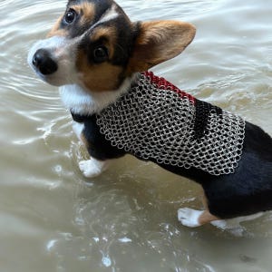 Chainsbyc Custom Handmade Chainmaille Medieval Pet Armor, Perfect for ...