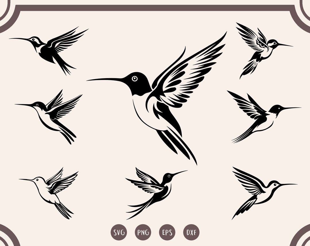 Hummingbird Svg Bundle, Hummingbird Flying Svg, Png Files for Cricut - Etsy