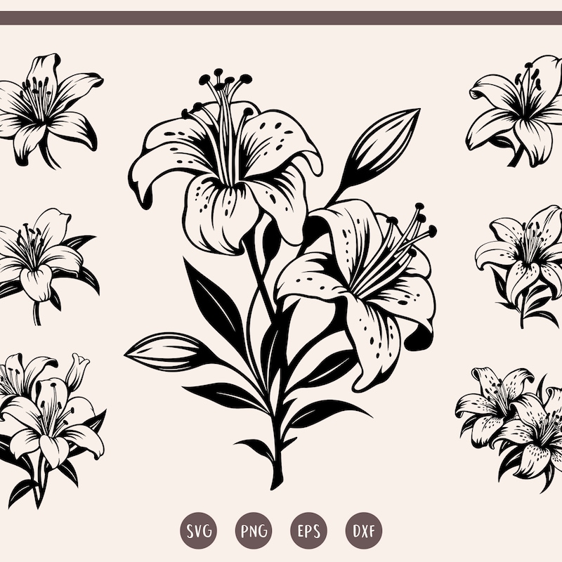 Lily Svg - Etsy