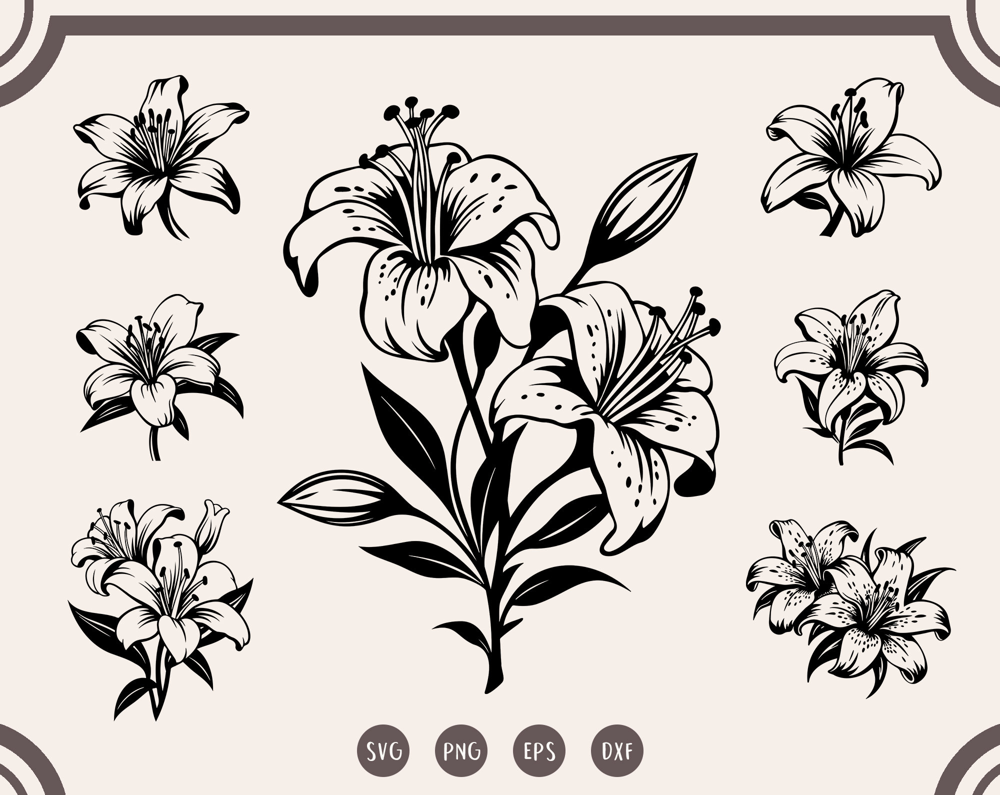 Lily Svg Bundle, Lily Flower Svg, Lily Cut File Svg, Png - Etsy