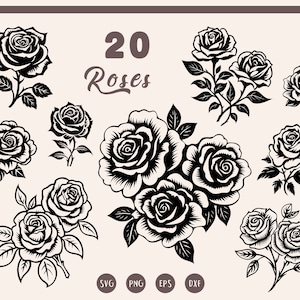 Rose Svg - Etsy