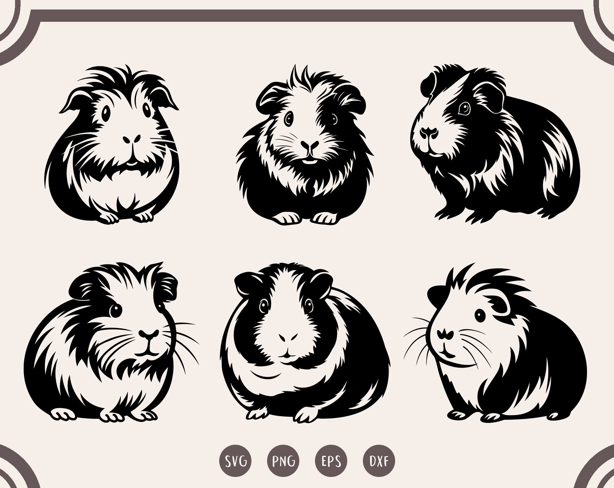 Guinea Pig Svg, Guinea Pig Svg Bundle, Guinea Pig Clipart, Cute Guinea ...