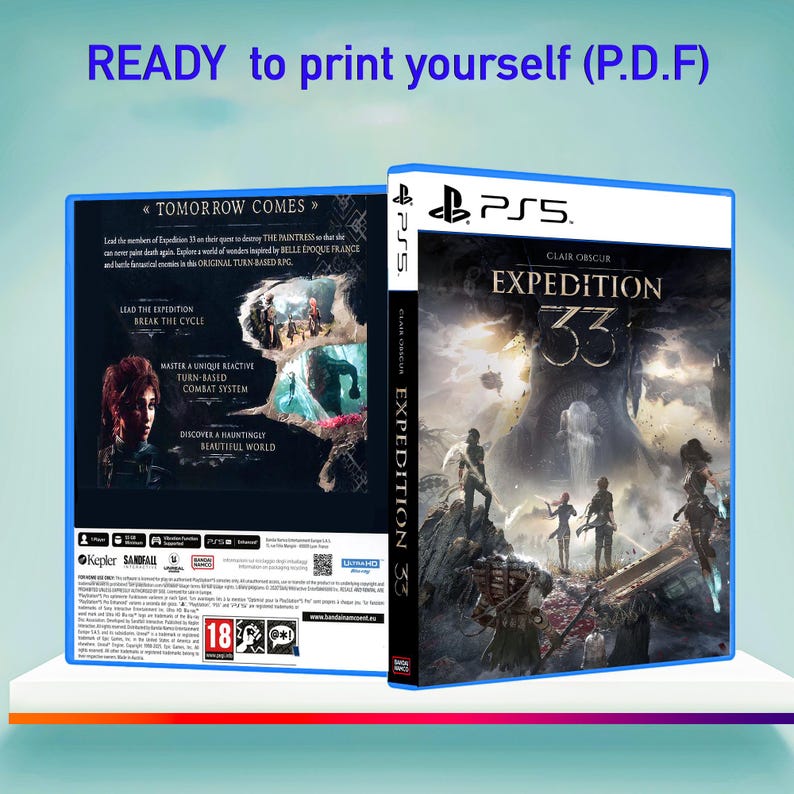 PS5 Clair Obscur: Expedition 33 Cover Insert for Case. Print It ...