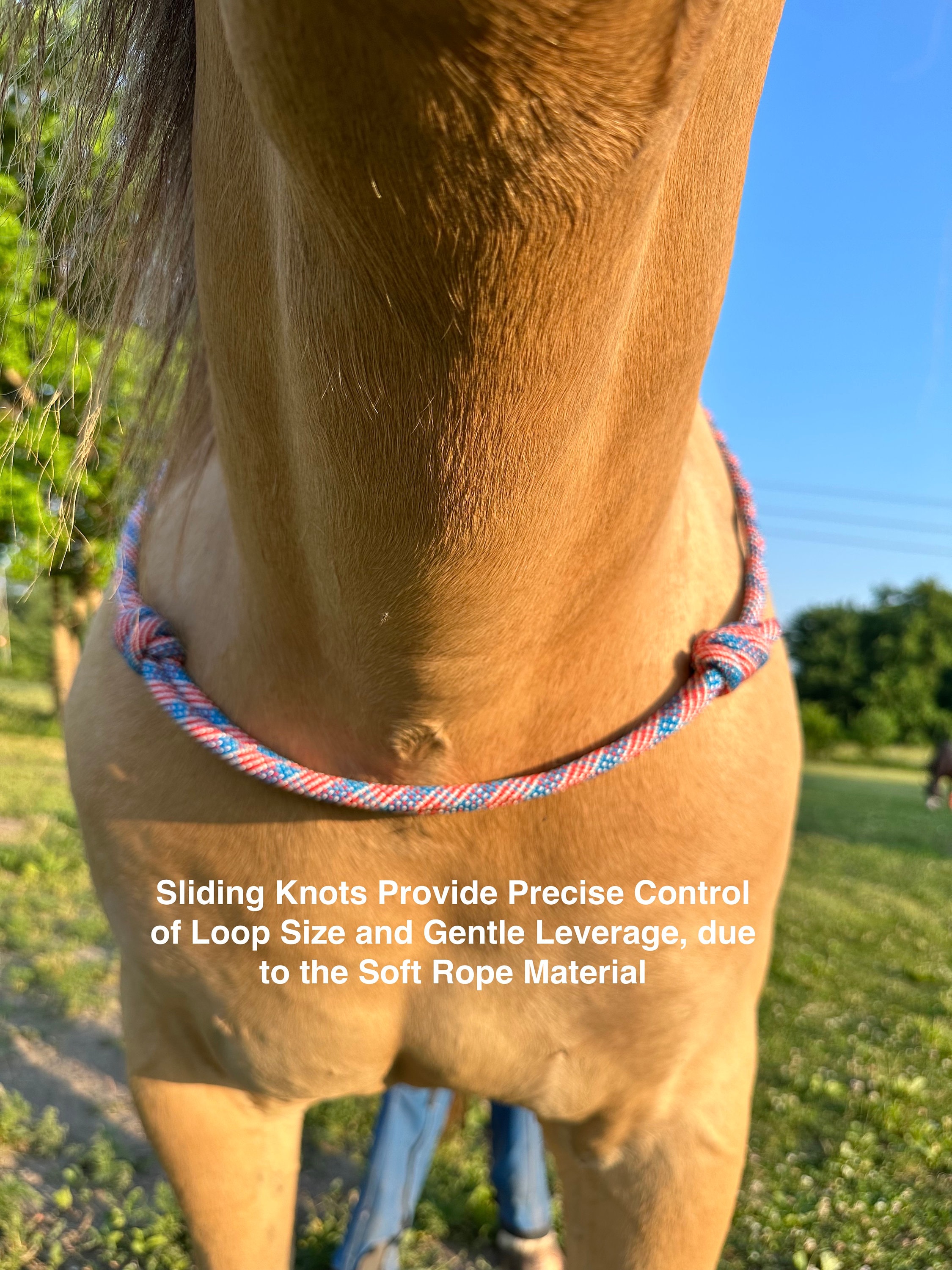 Liberty Horse Neck Rope Cordeo - Lightweight, Adjustable, Bridleless ...
