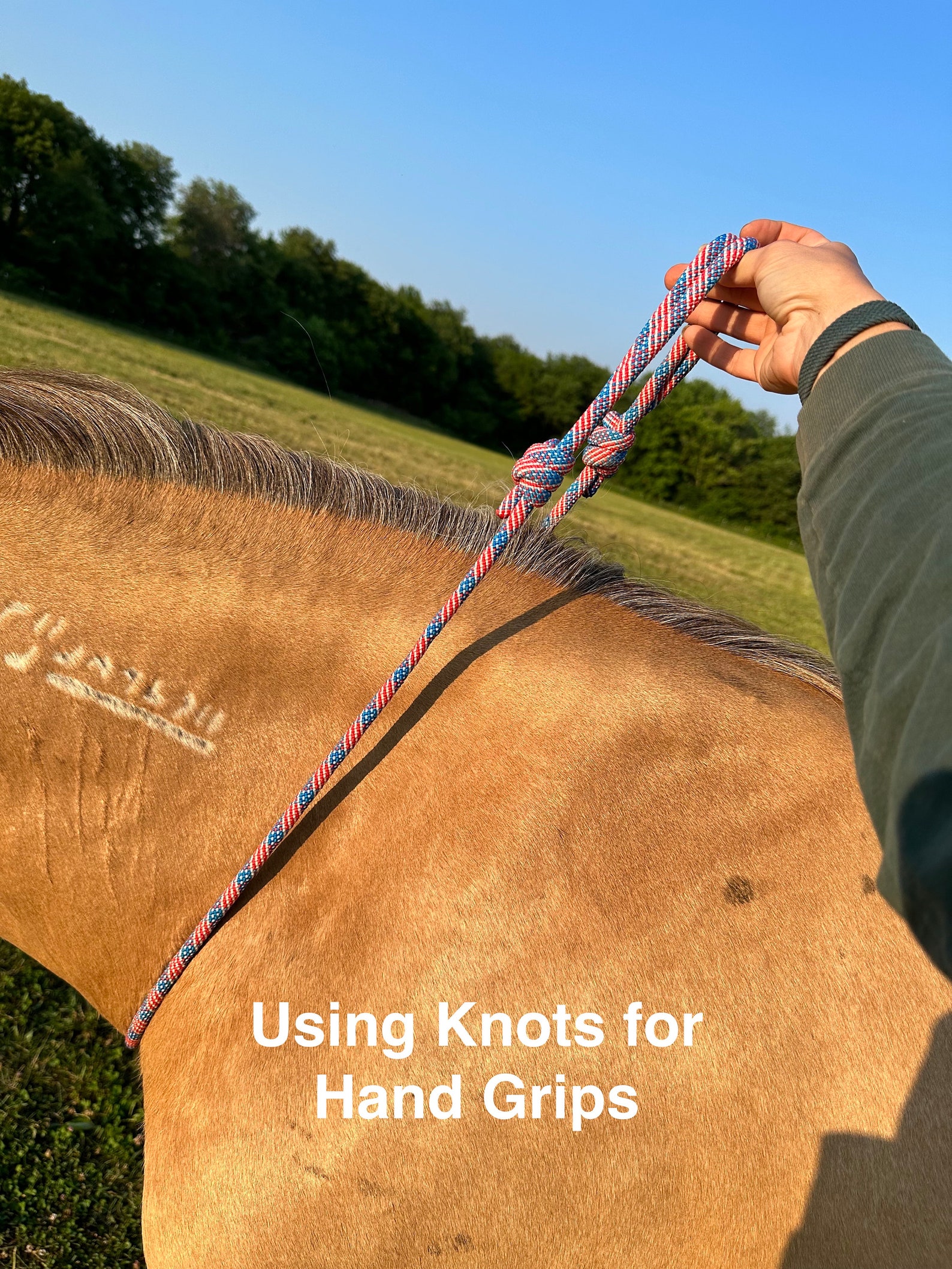 Liberty Horse Neck Rope Cordeo - Lightweight, Adjustable, Bridleless ...