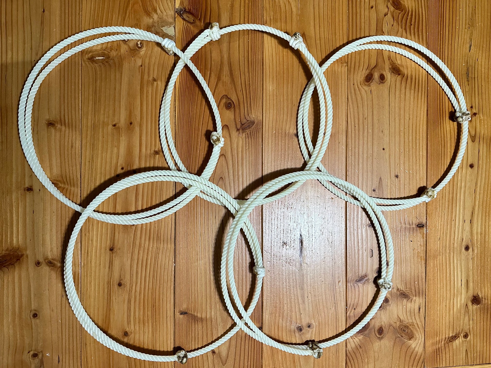 Lariat Liberty Horse Sliding Neck Ring Cordeo for Bridleless Riding ...