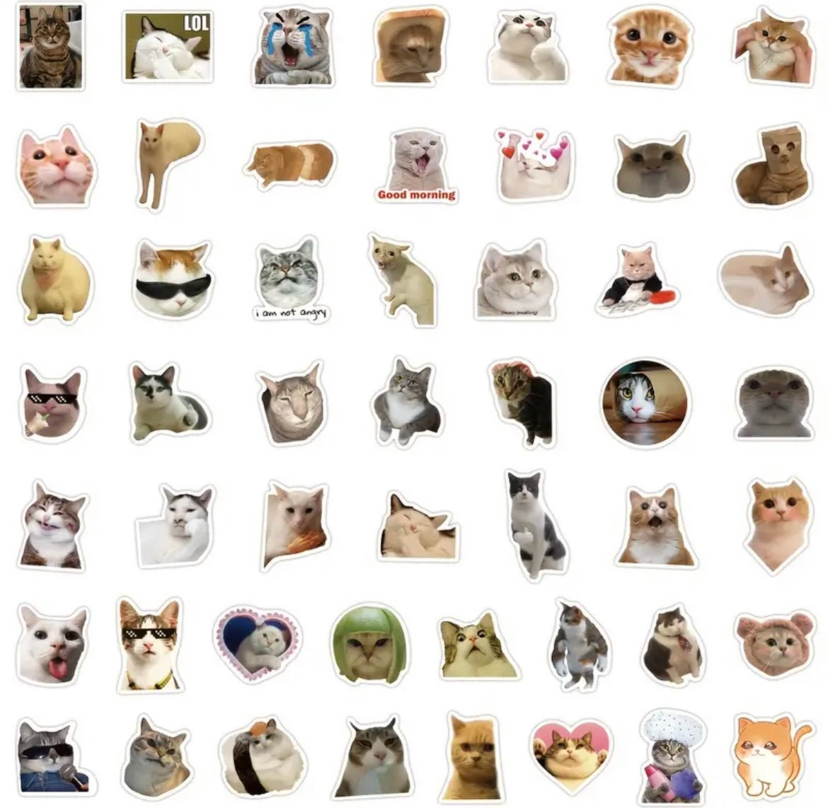 10 Pack of Funny Cat Stickers for Water Bottles Laptop Phone Computer ...