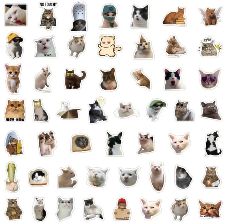 10 Pack of Funny Cat Stickers for Water Bottles Laptop Phone Computer ...