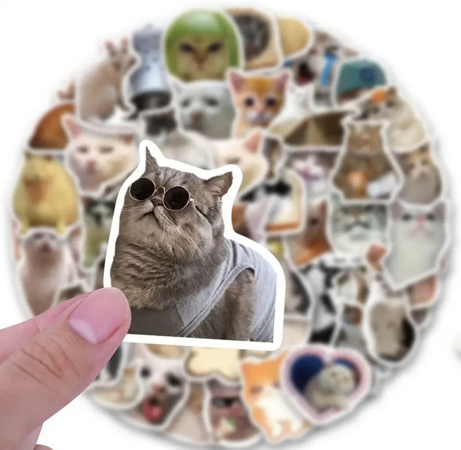 10 Pack of Funny Cat Stickers for Water Bottles Laptop Phone Computer ...