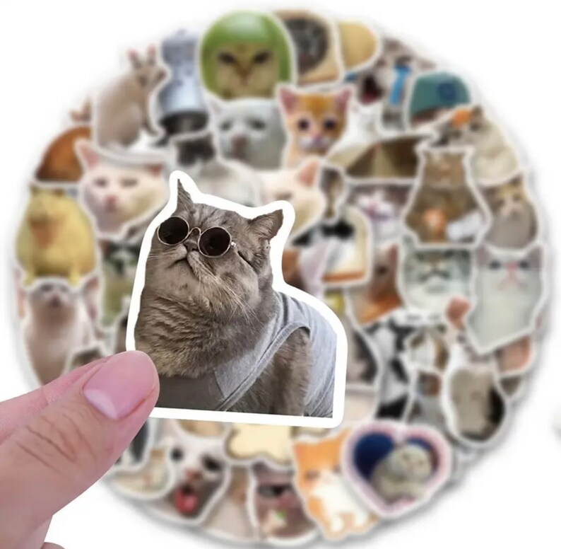 10 Pack of Funny Cat Stickers for Water Bottles Laptop Phone Computer ...