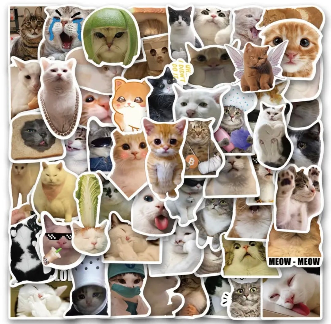 10 Pack of Funny Cat Stickers for Water Bottles Laptop Phone Computer ...