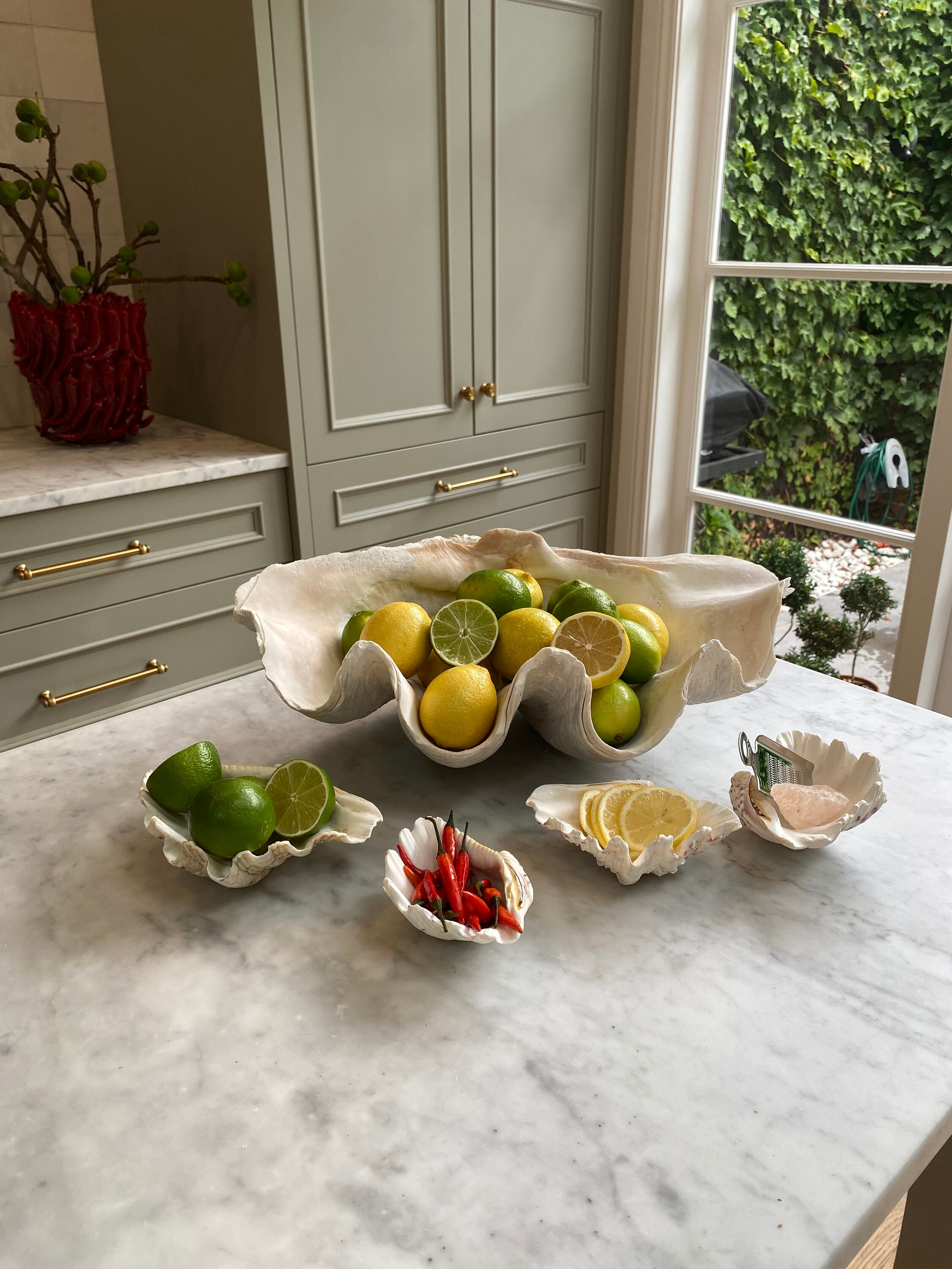 Small Clam Shell - Etsy