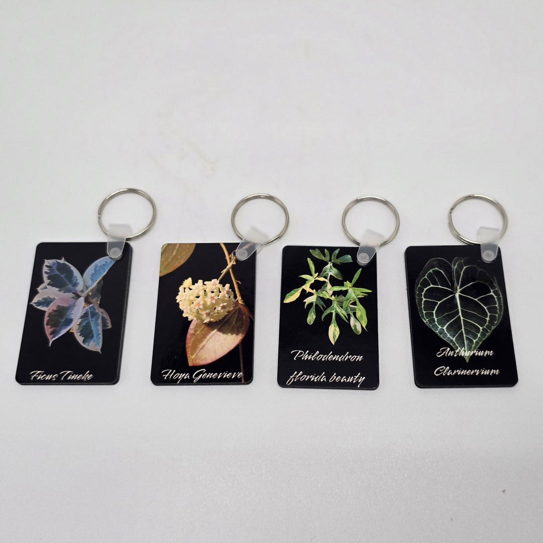 Rare Aroid Collectors Keychains - Etsy