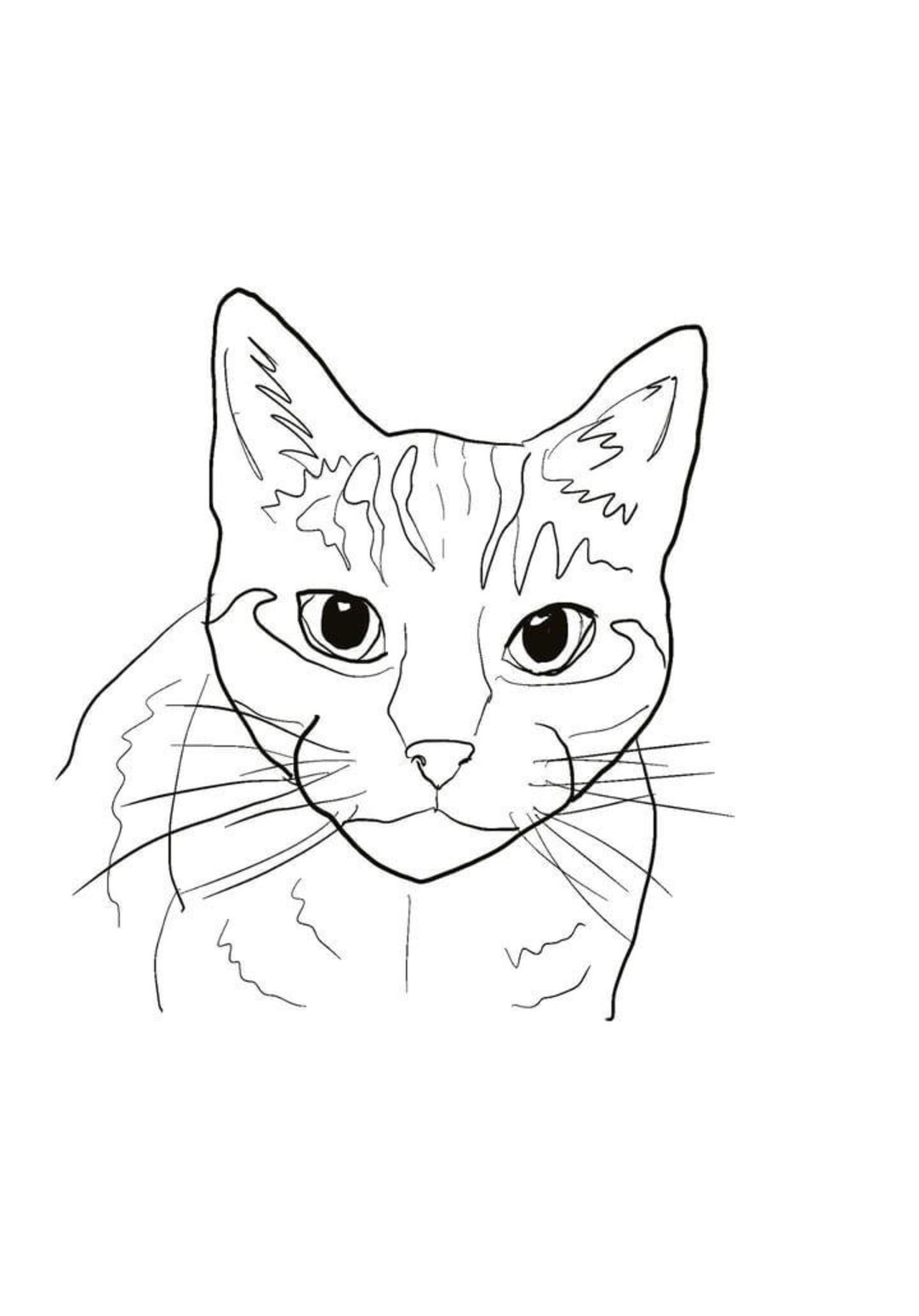 Custom Line Drawing of Your Pet. Pet Portrait of Your Cat, Dog, Horse ...