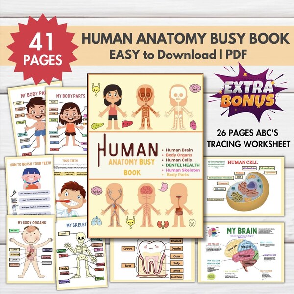 Human Anatomy Printable - Etsy