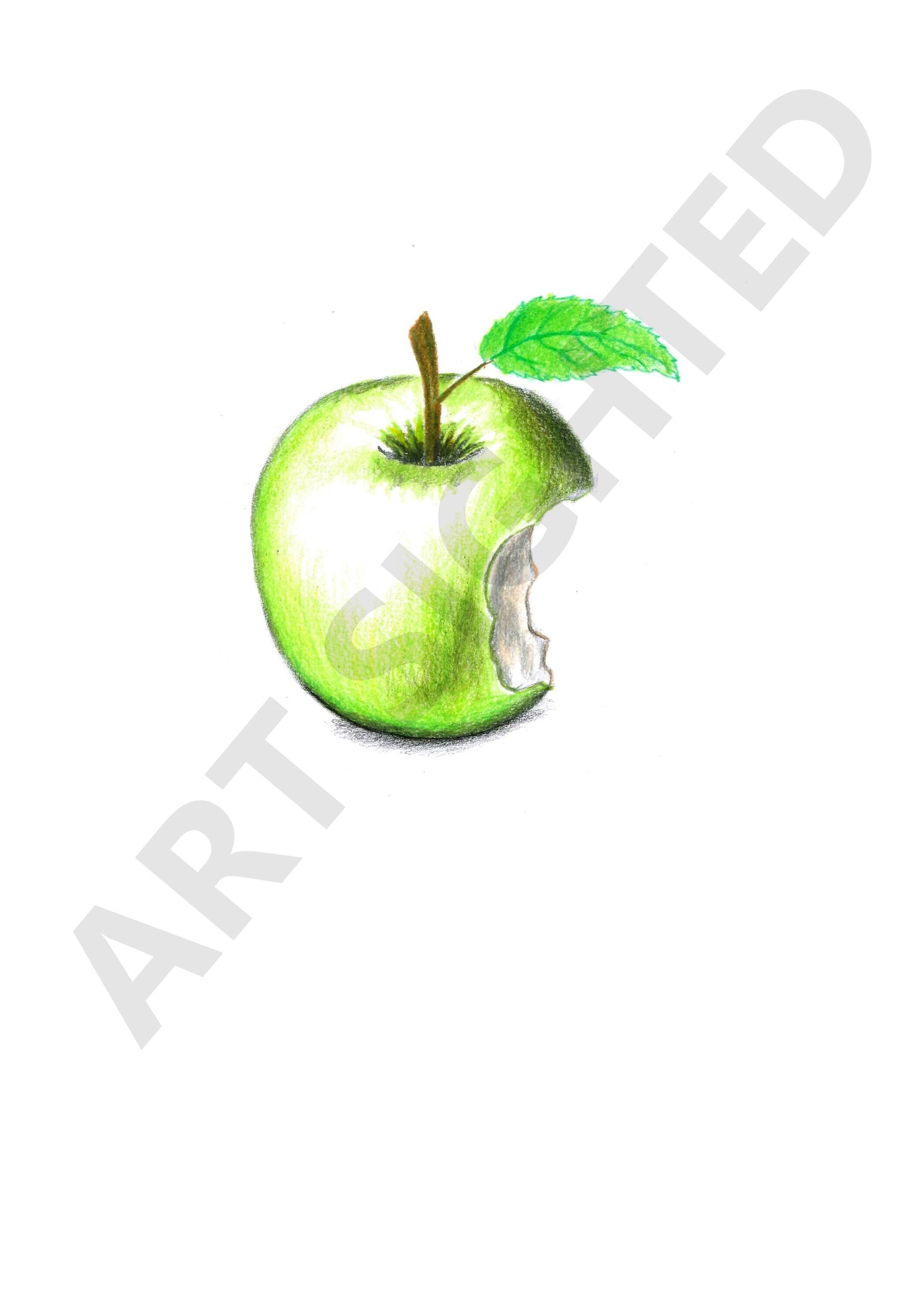 Bitten Apple Pencil Drawing - Etsy