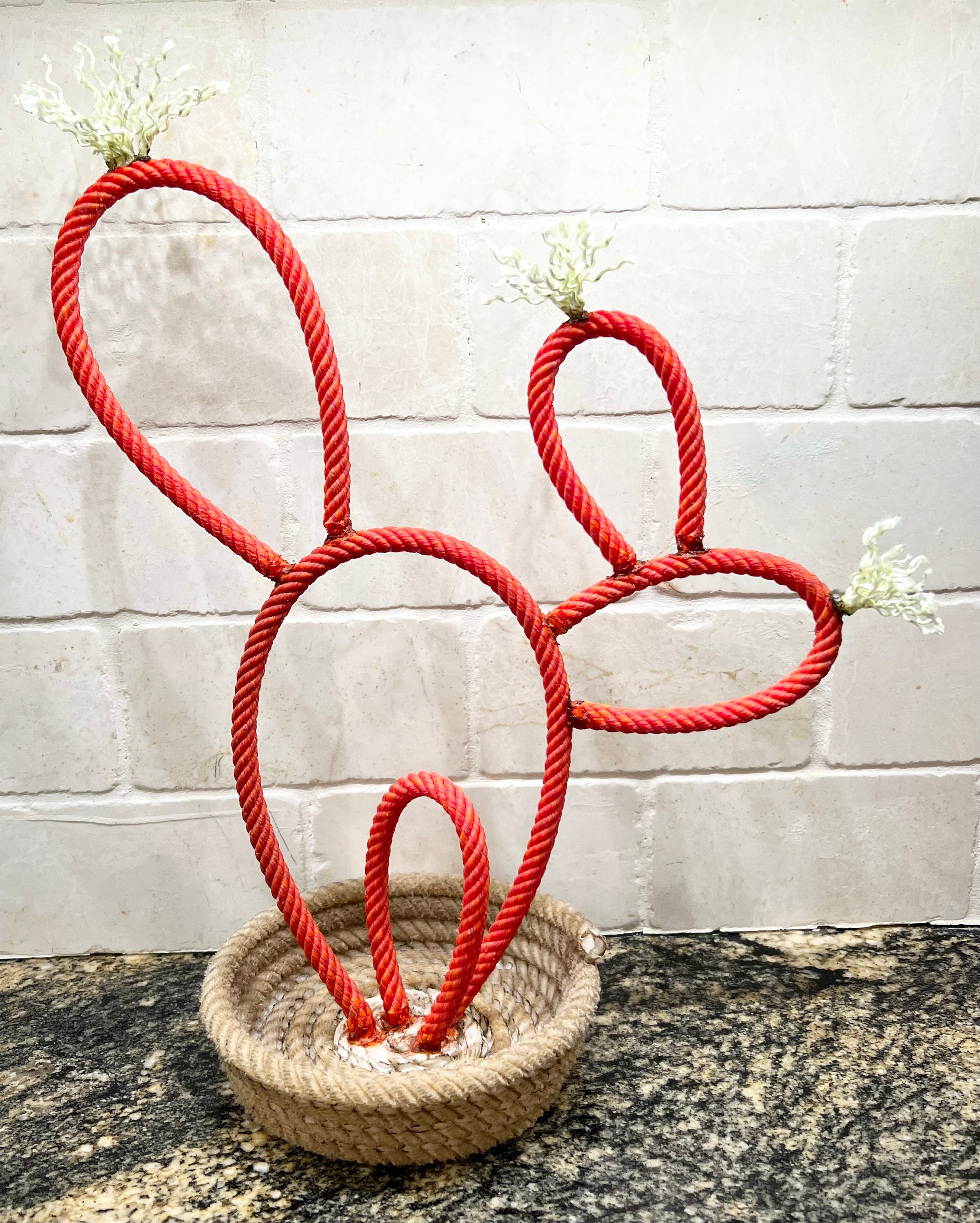 Rope Cactus - Etsy