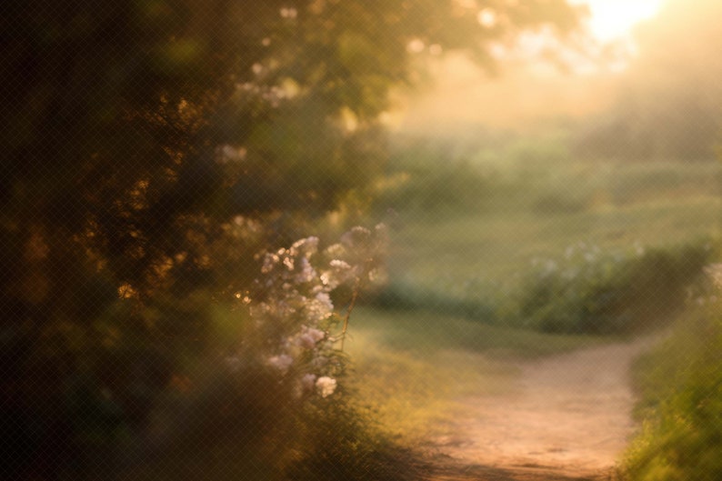 Ethereal Sunset Path Digital Backdrop! Fine Art Backdrop, Sunset ...
