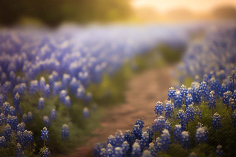 Bluebonnet Field Digital Backdrop! Fine Art Backdrop, Flower Field Backdrop, Maternity Backdrop ...