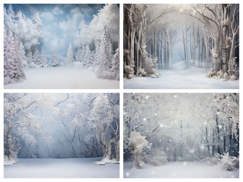 Winter Wonderland - 14 Snowy Winter Scene Digital Backdrop, Studio ...