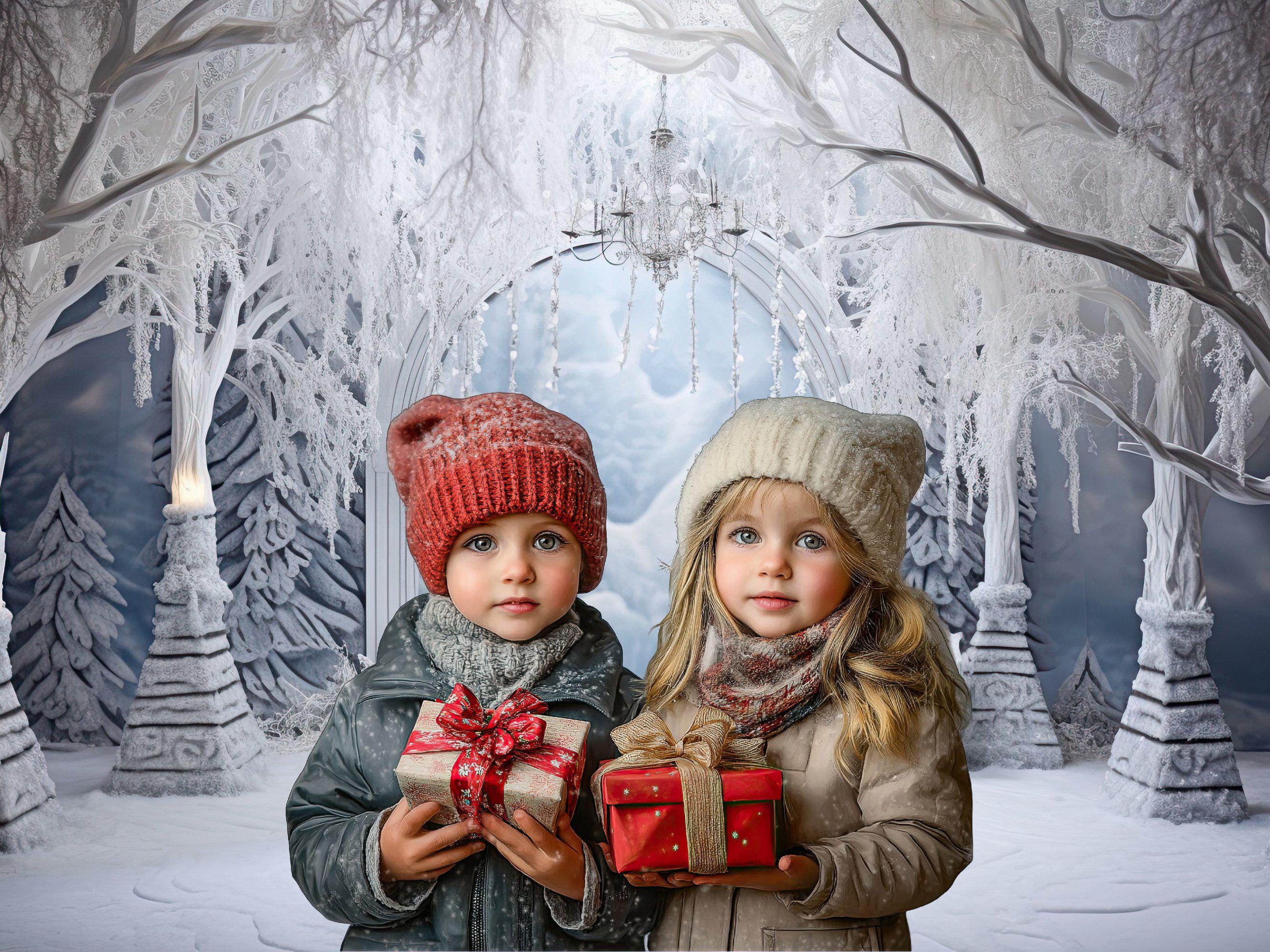 Winter Wonderland - 14 Snowy Winter Scene Digital Backdrop, Studio ...