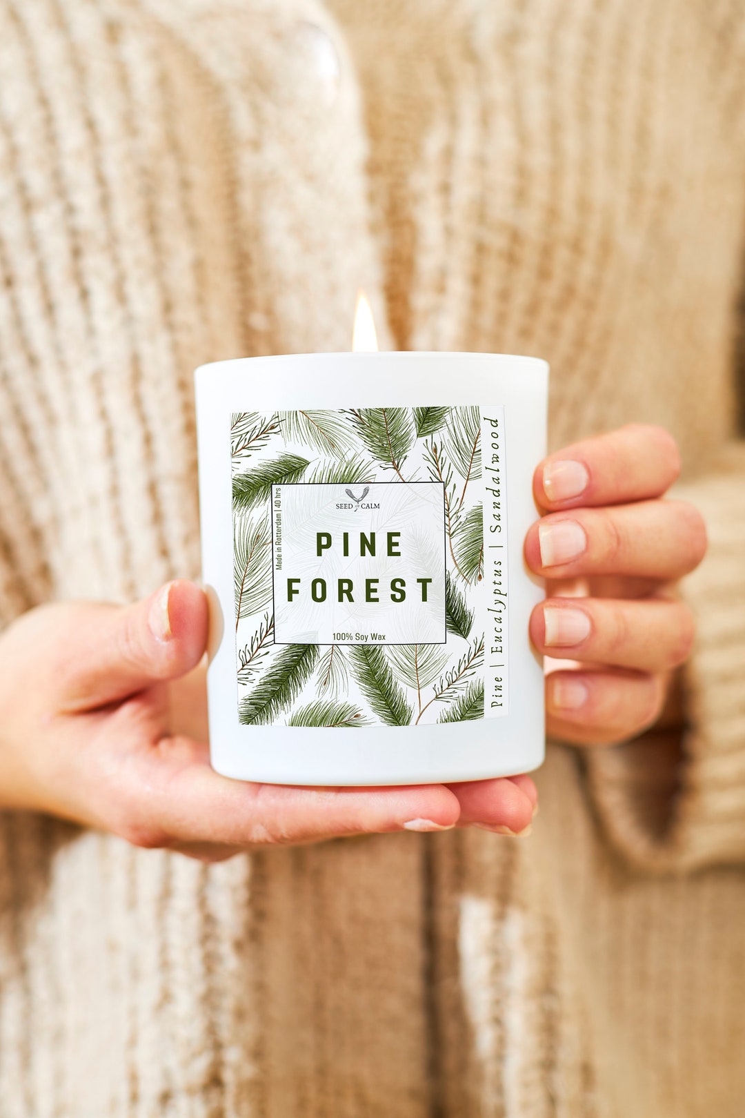 Pine Forest Scented Candle | Forest Scented Candle | Fresh Scented Soy ...