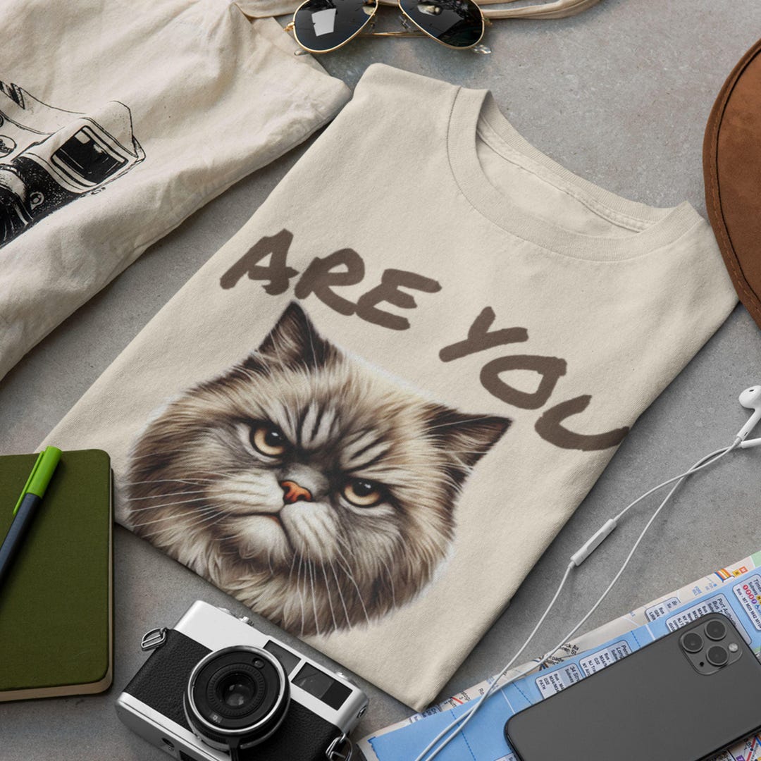 Grumpy Cat T-shirt, Funny Cat Shirt for Cat Lovers, Sassy Pet Lover ...