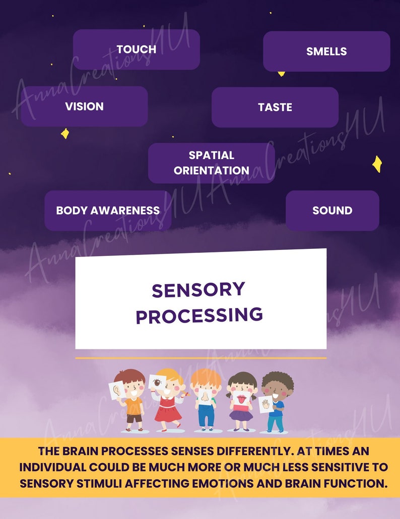 ADHD Educational Handout for Patients, Parents, Teachers, IEP, Medical ...