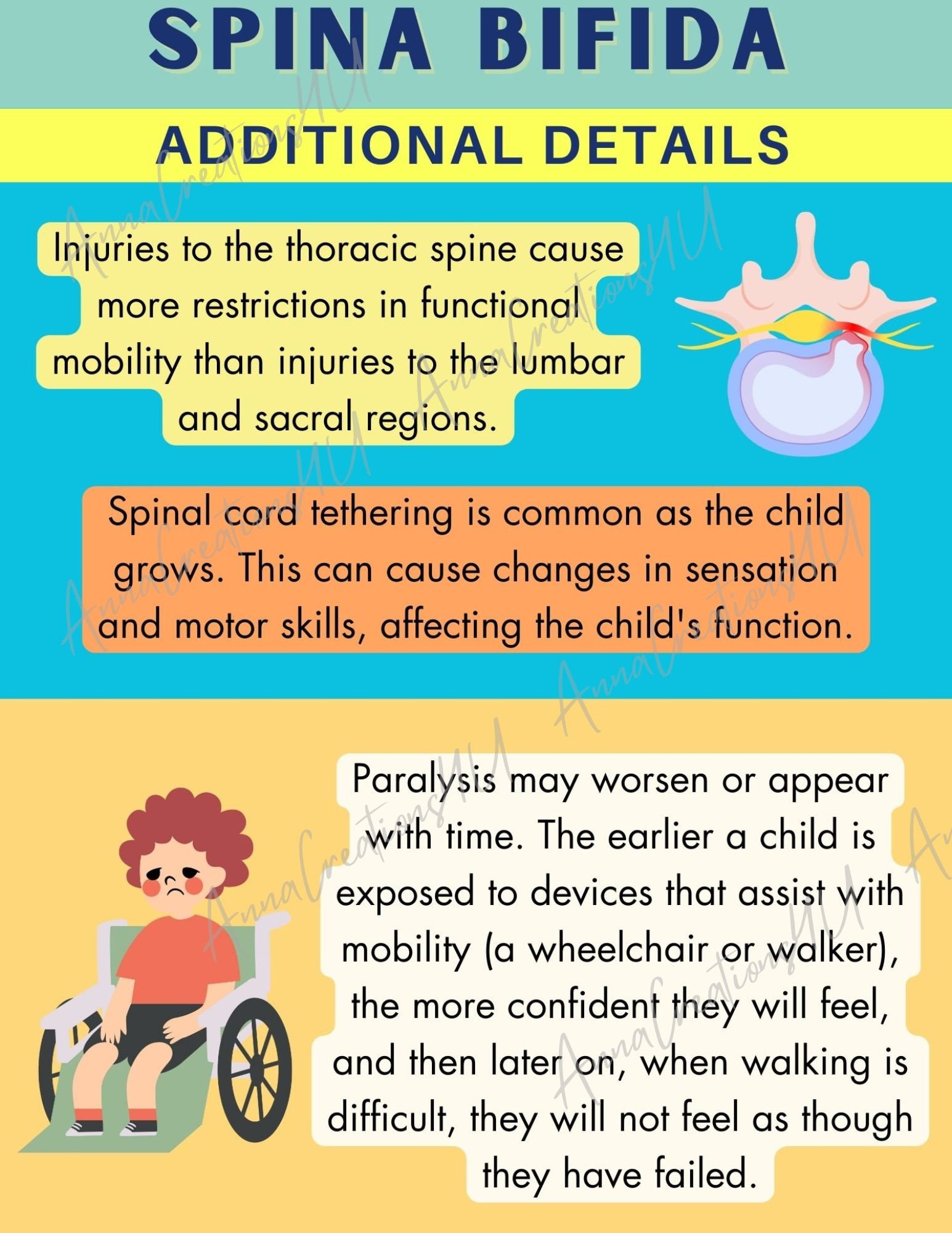 Spina Bifida Awareness Month, Educational Handout, Parent, Teacher ...