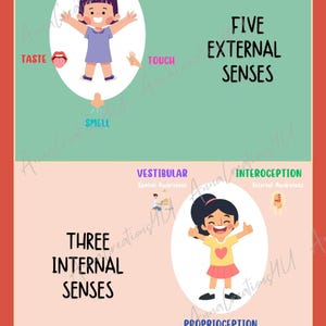 Sensory Processing Disorder, Autism Spectrum, Attention-deficit ...