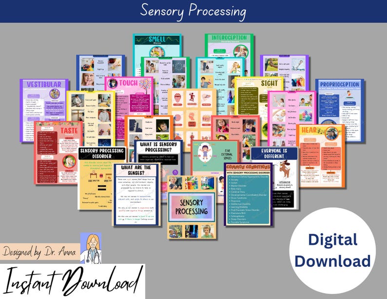 Autism Spectrum Sensory Processing Disorder BUNDLE, Classroom ...