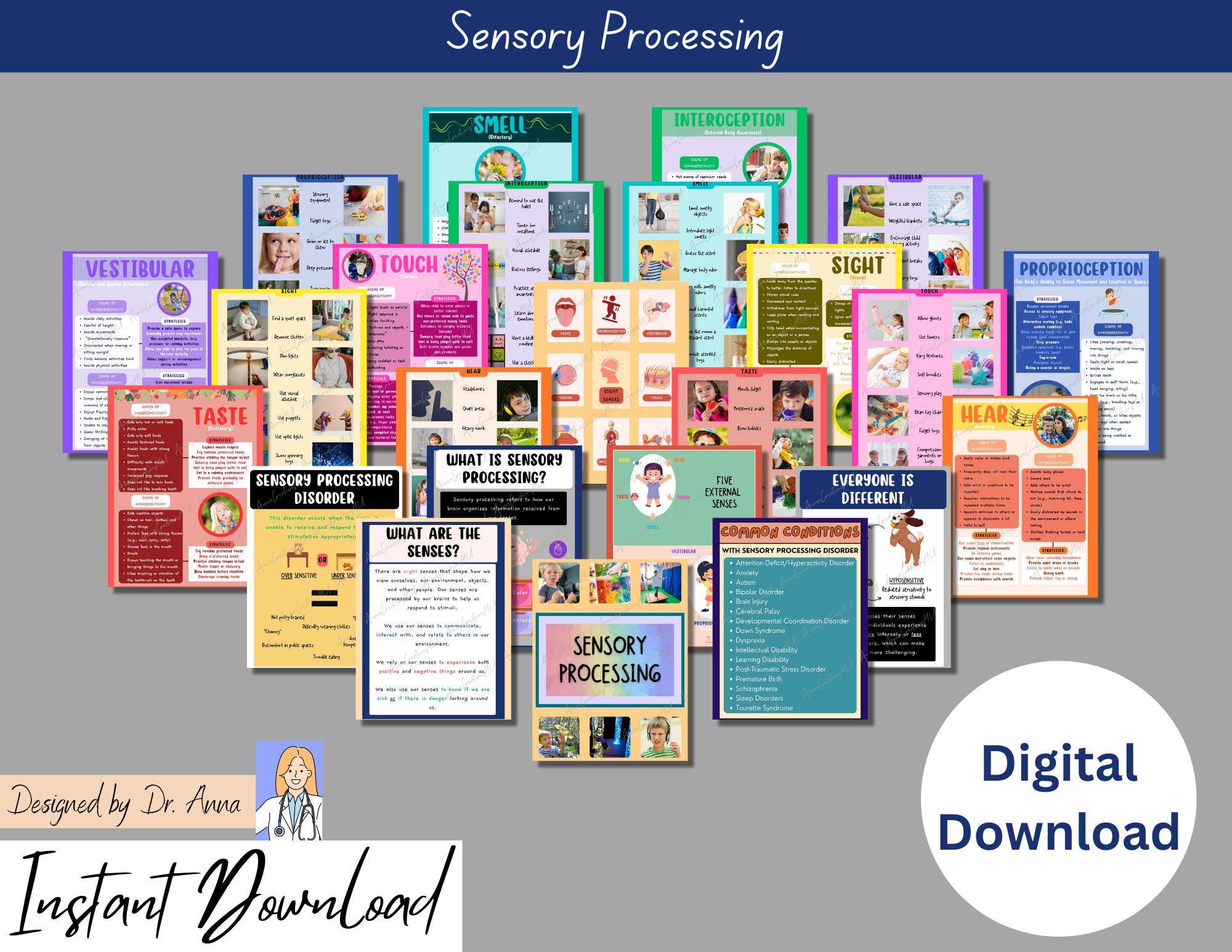 Autism Spectrum Sensory Processing Disorder BUNDLE, Classroom ...
