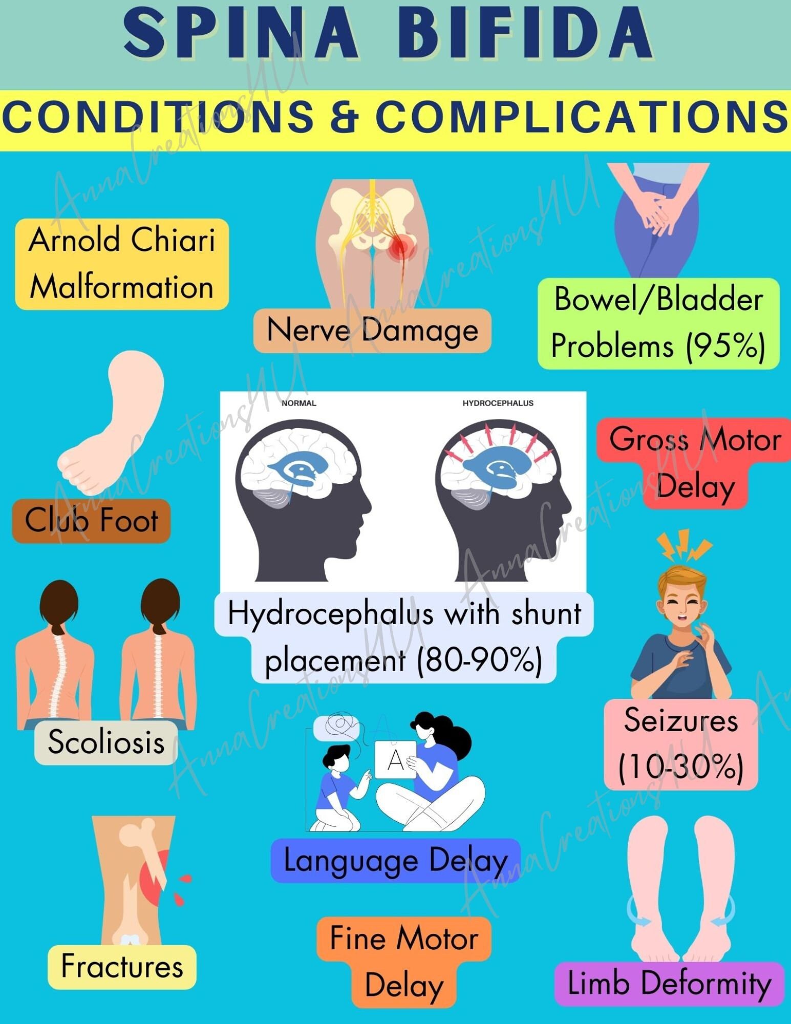 Spina Bifida Awareness Month, Educational Handout, Parent, Teacher ...