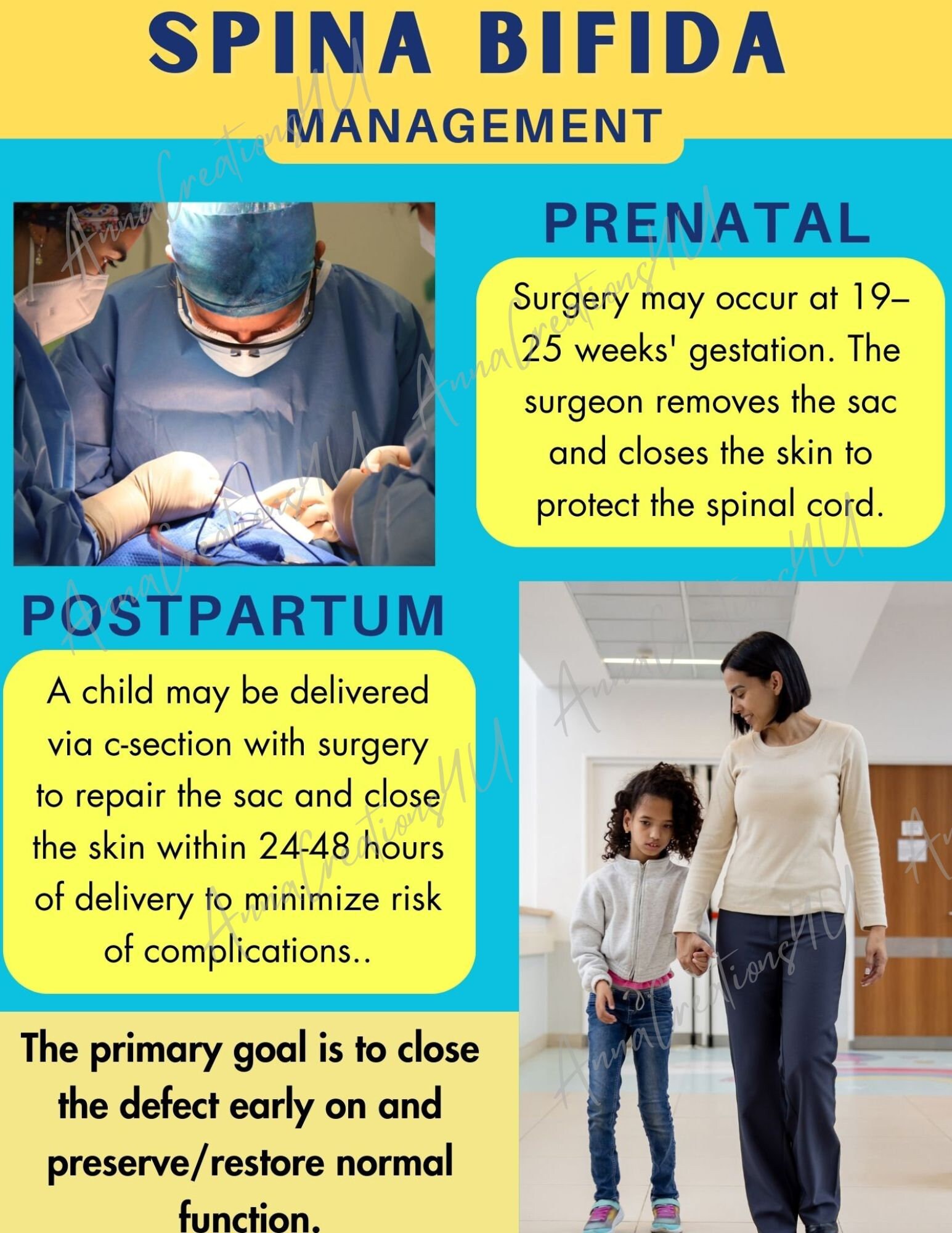 Spina Bifida Awareness Month, Educational Handout, Parent, Teacher ...