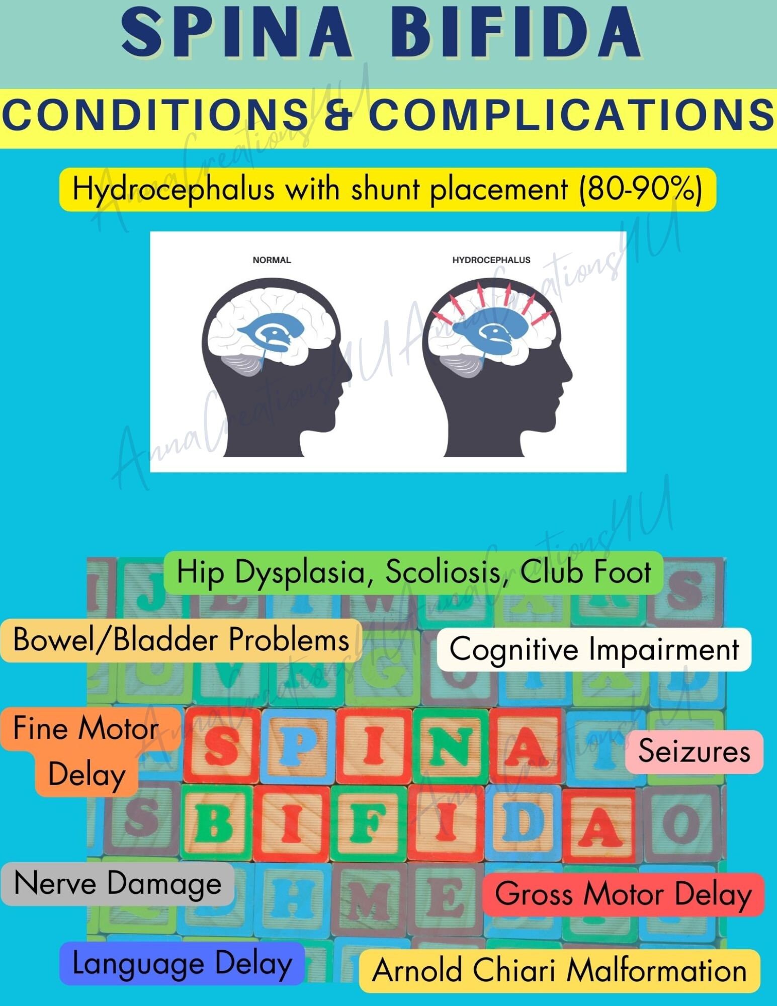 Spina Bifida Awareness Month, Educational Handout, Parent, Teacher ...