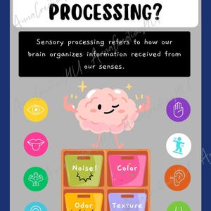 Sensory Processing Disorder, Autism Spectrum, Attention-deficit ...